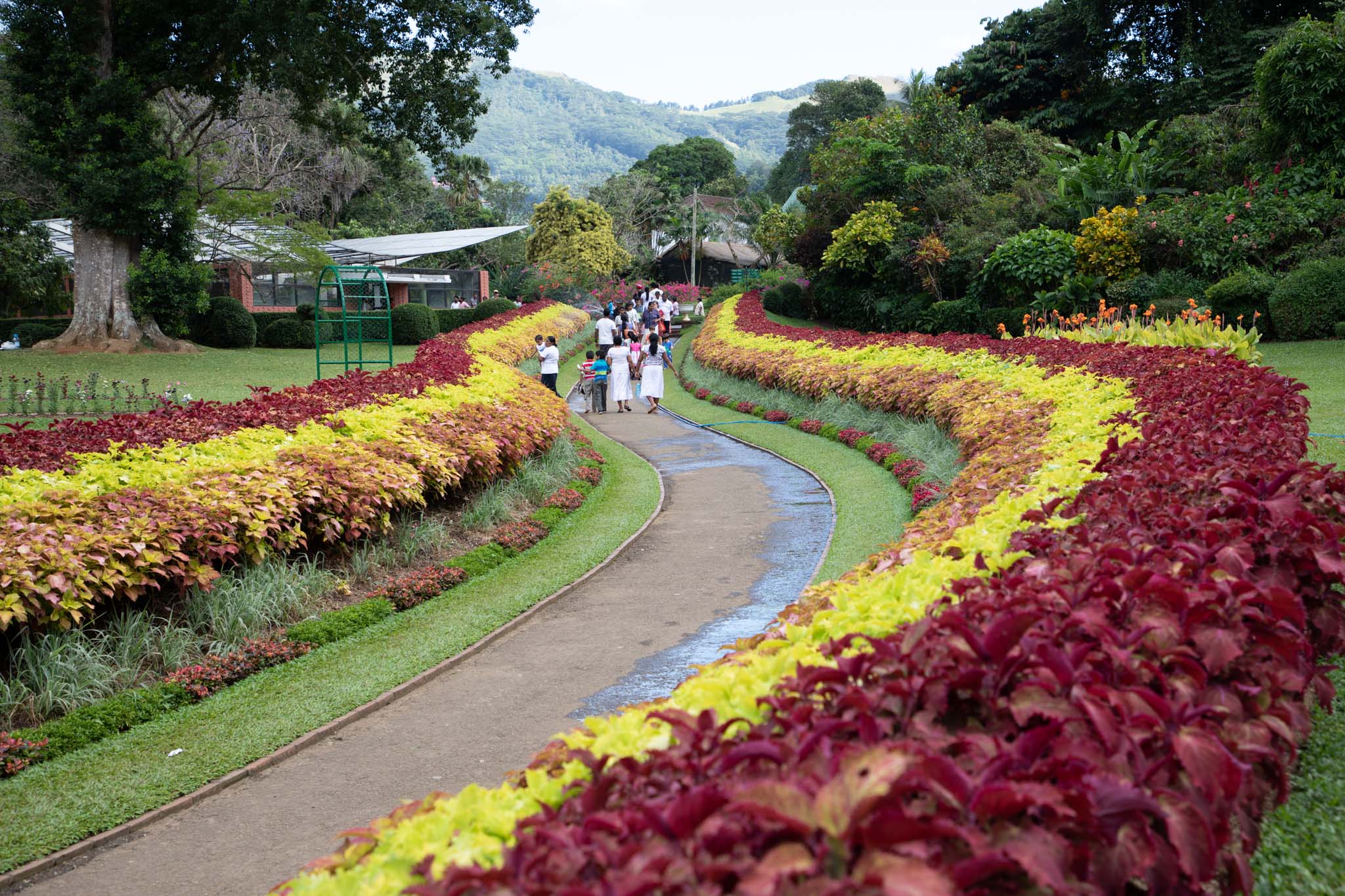 Botanical Gardens In Sri Lanka Royal Botanical Gardens, Peradeniya